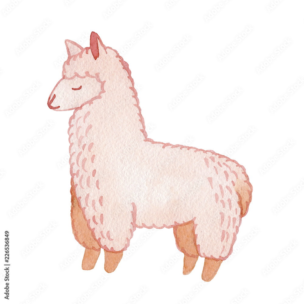 Llama and alpaca collection of cute hand drawn watercolor illustrations ...