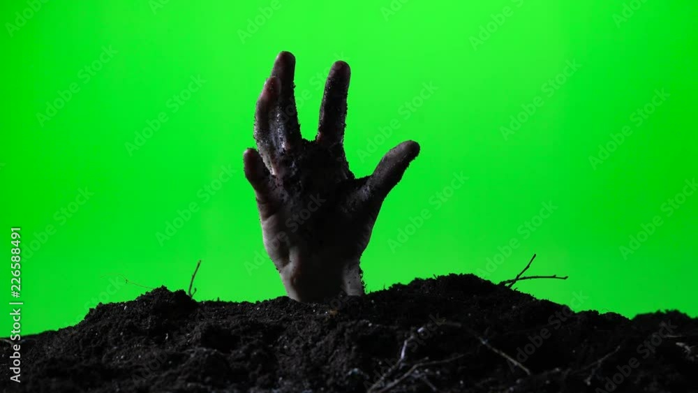 Zombie hand emerging from the ground grave. Halloween concept. Green ...