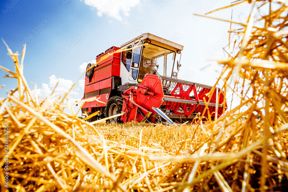 Combine harvesters Agricultural machinery. The machine for harvesting ...
