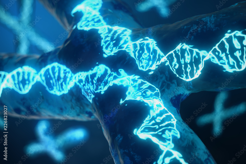 3D illustration X-Chromosomes with DNA carrying the genetic code ...