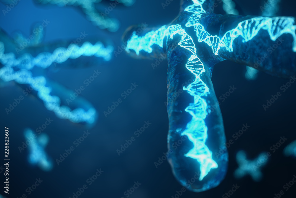 3D illustration X-Chromosomes with DNA carrying the genetic code ...