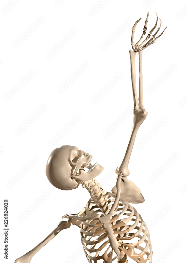 3d human skeleton reaching through hands Stock Illustration | Adobe Stock