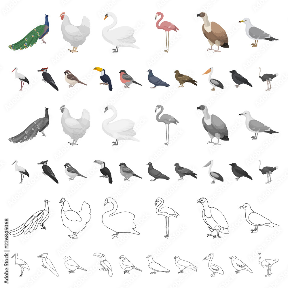 Types of birds cartoon icons in set collection for design. Home and ...