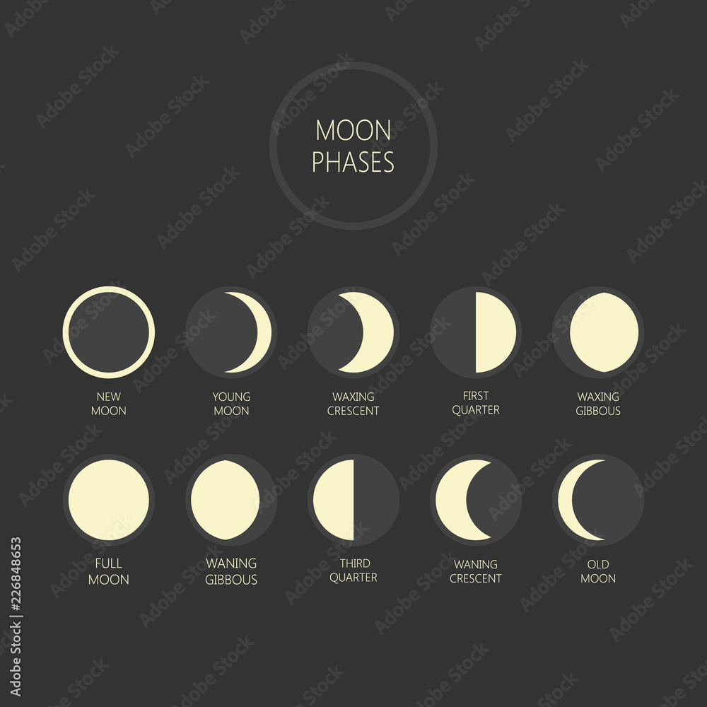 Lunar Phase Cycle