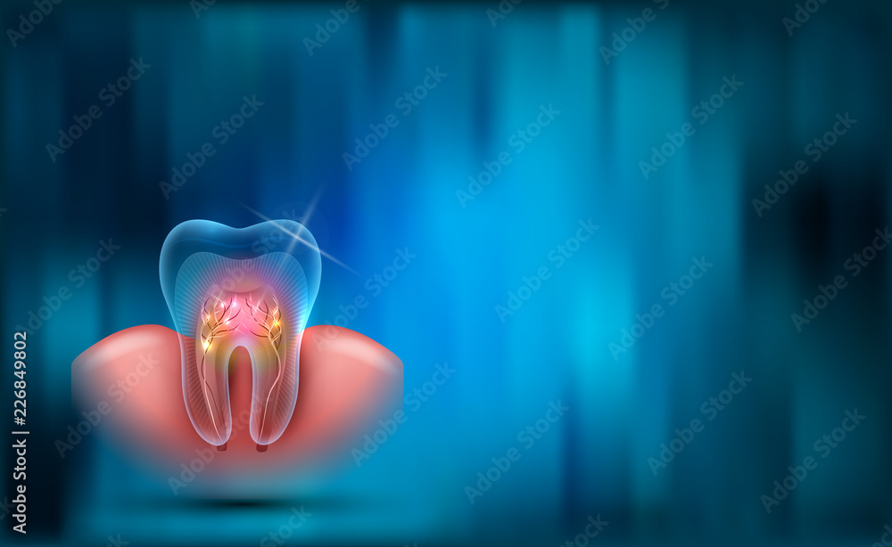 Dental background, transparent tooth cross section, roots and gum on a ...