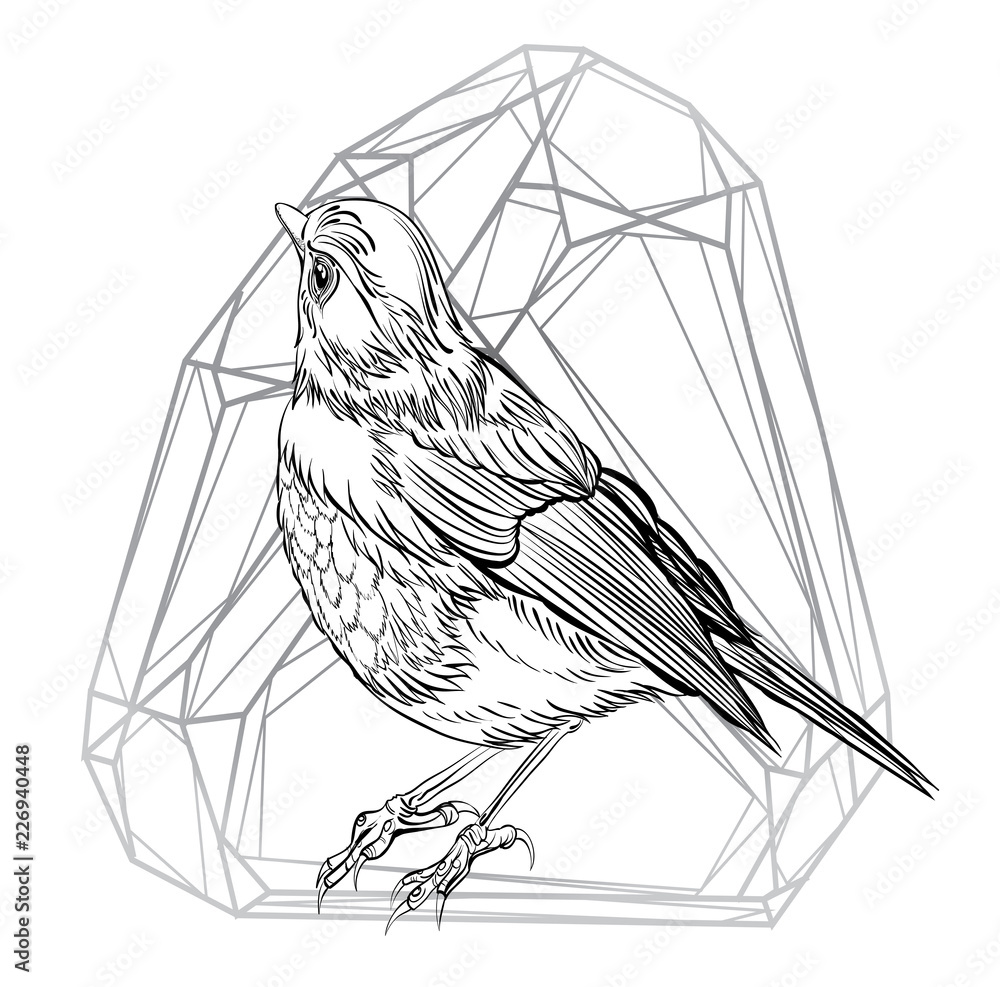 bird and crystals. Detailed drawing of a bird. Vector illustration ...