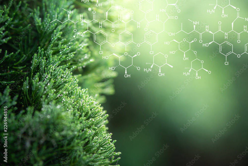 Plants background with biochemistry structure. Stock Photo | Adobe Stock
