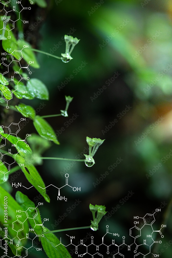 Plants background with biochemistry structure. Stock Photo | Adobe Stock