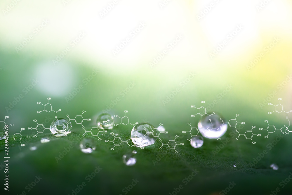 Plants background with biochemistry structure. Stock Photo | Adobe Stock