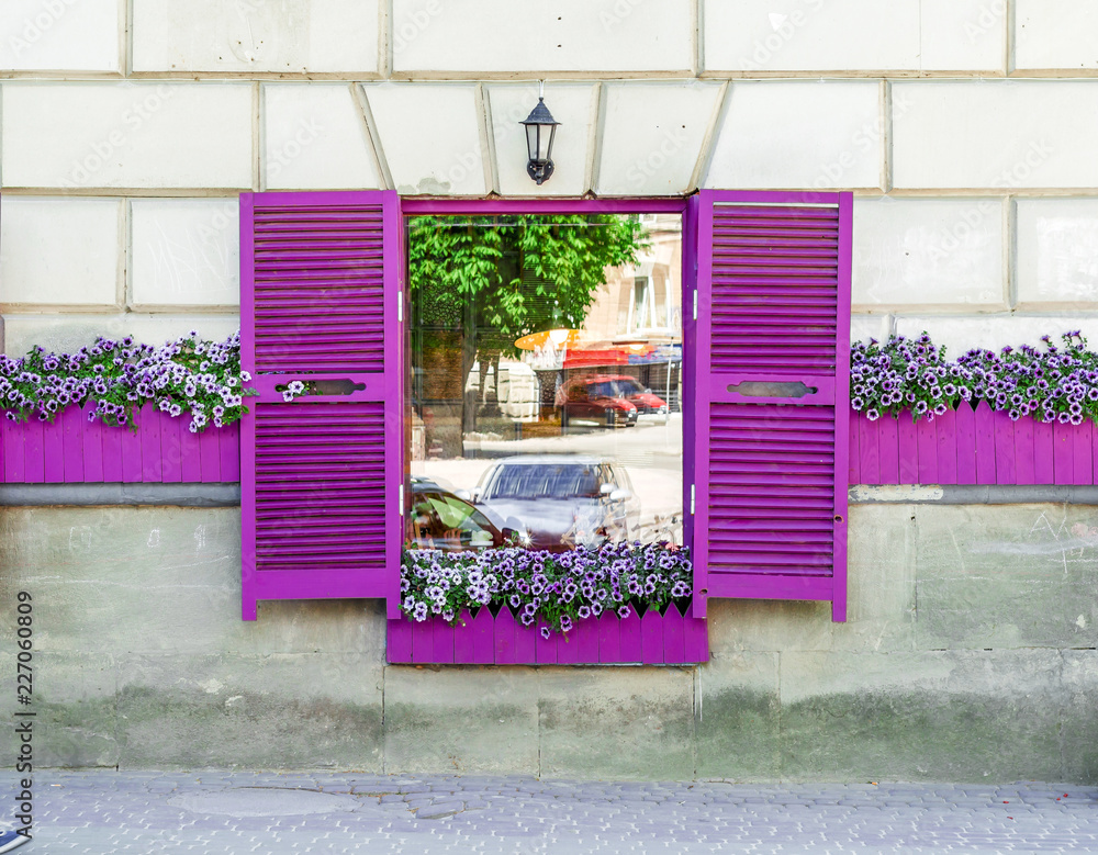 Cafe window with violet shutters and flowers on the windowsill Stock ...