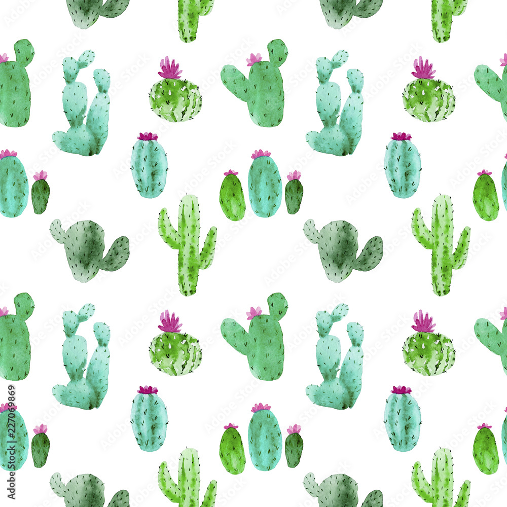 Pattern of watercolor cactus, succulent, illustration on white ...