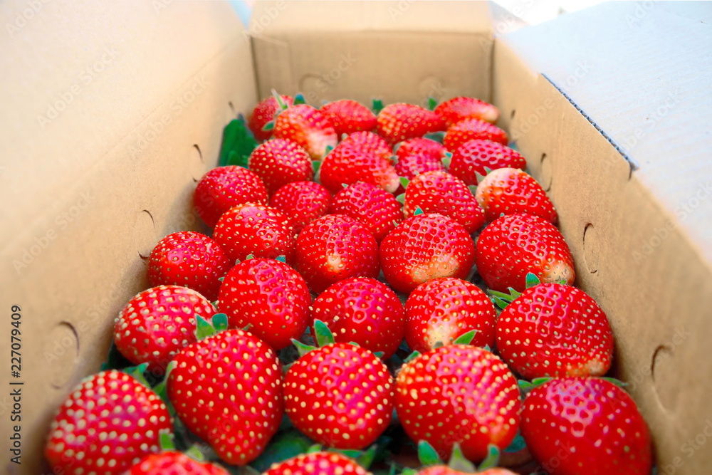 Strawberries packed in boxes.Fresh strawberries from the farm. Stock ...