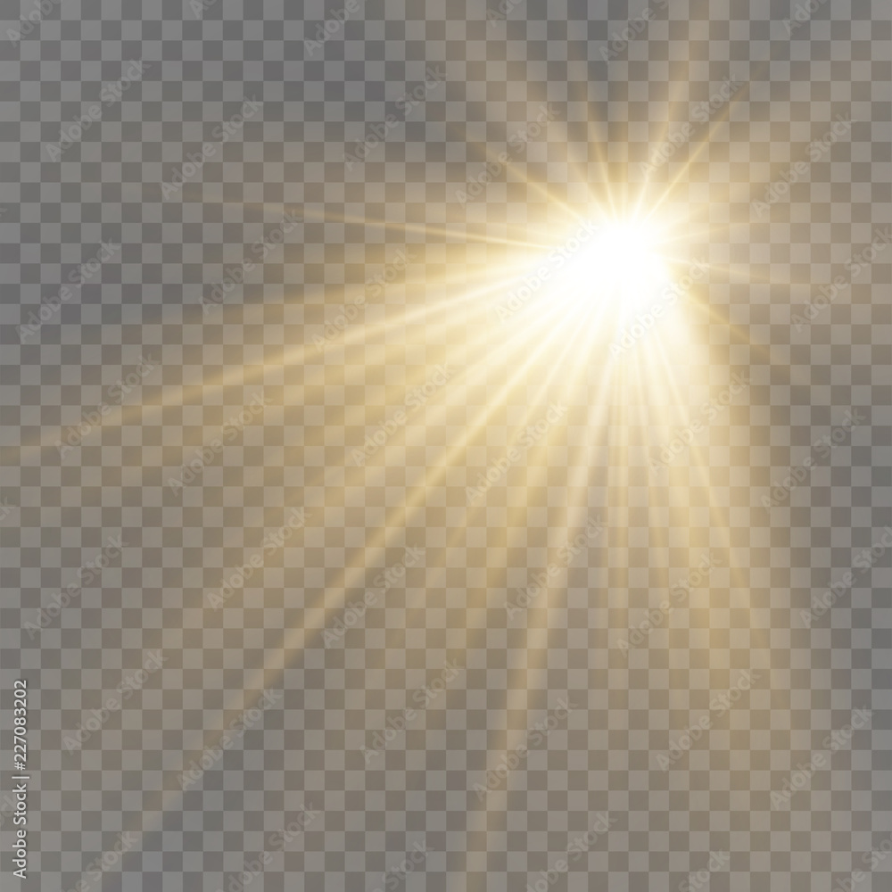 Vector light sources, concert lighting, spotlights set. Concert ...