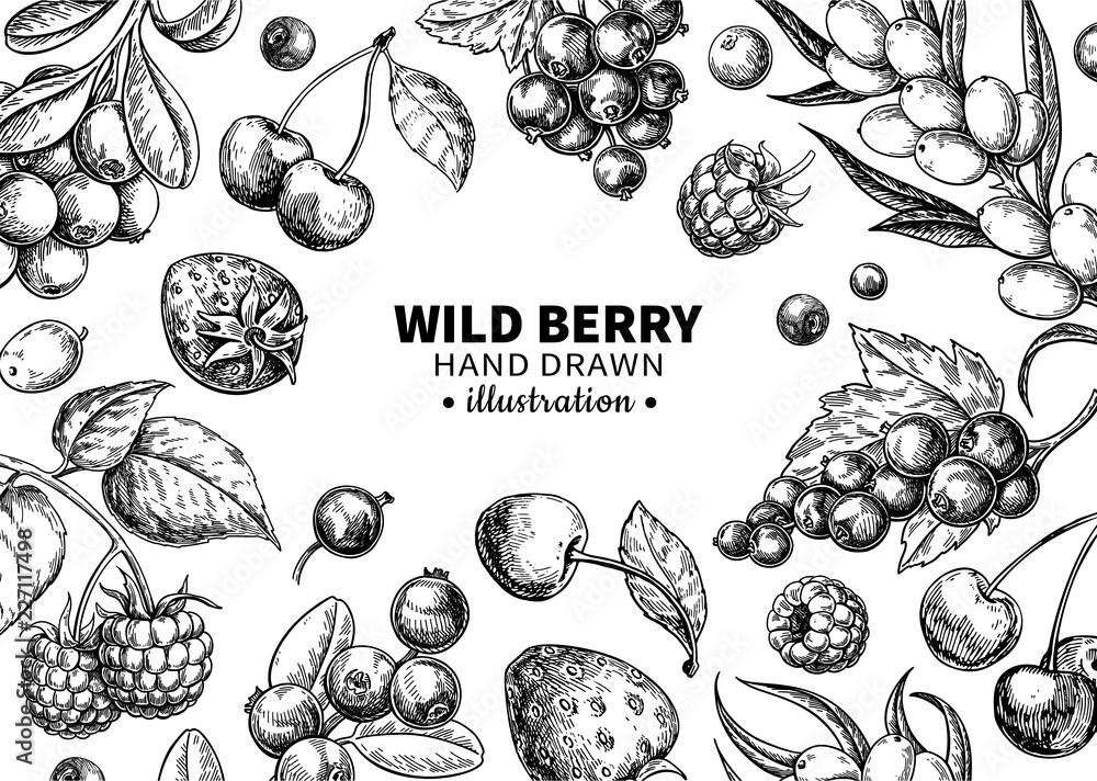 Wild berry drawing. Hand drawn vintage vector frame. Summer fruit set ...