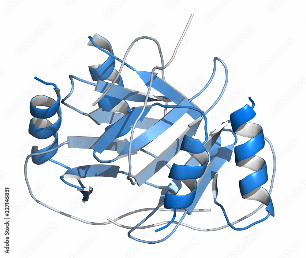 Protein Structure Cartoon