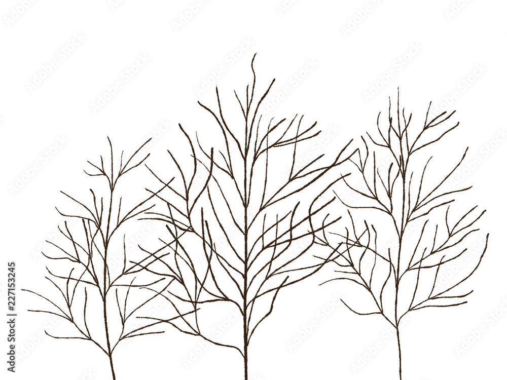 Abstract Pencil Drawing Trees
