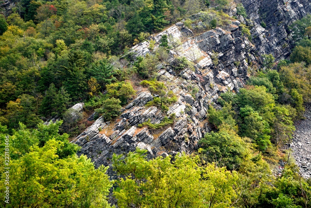 Point of Gap Overlook, Delaware Water Gap, Pennsylvania, USA: Trees and ...