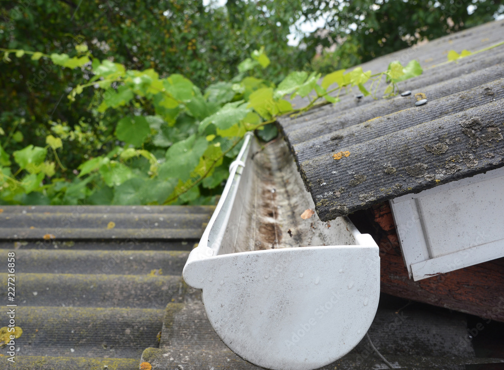 Plastic Asbestos Roof