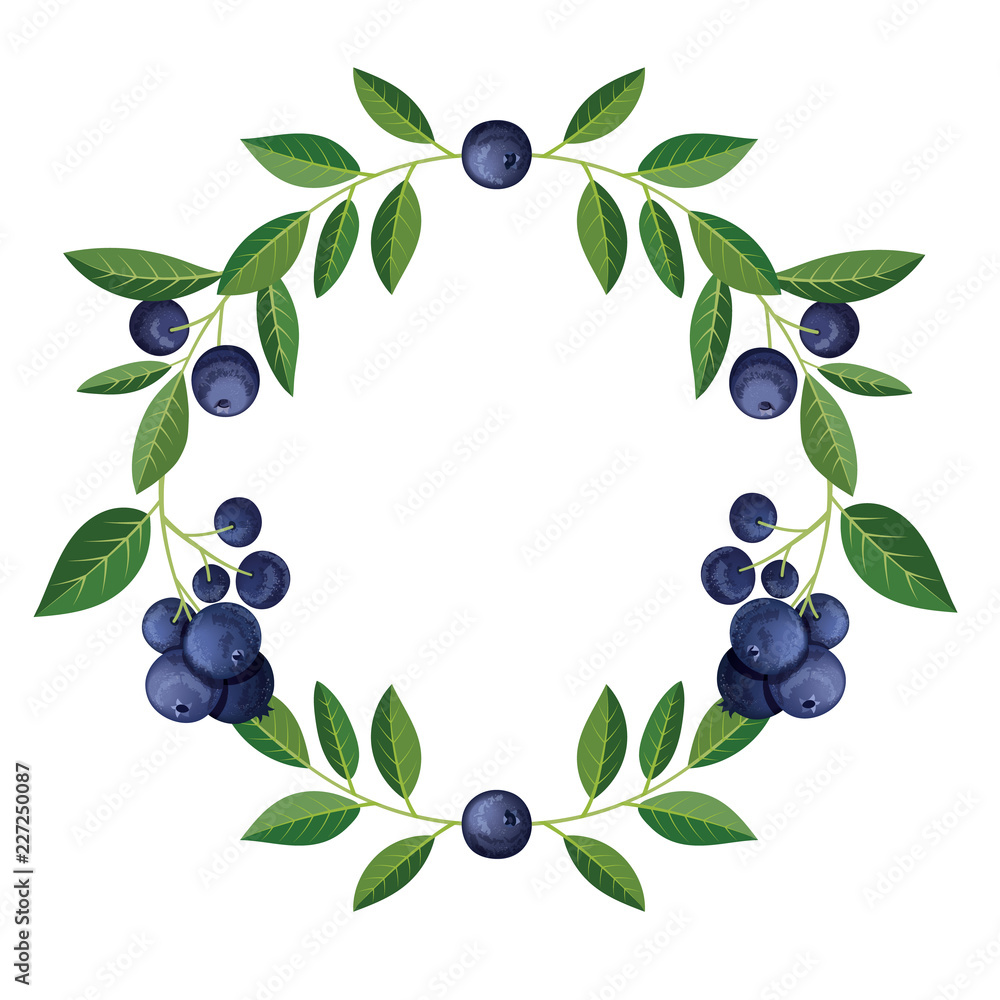 Round frame with delicious blueberry fruit. Vector illustration Stock ...