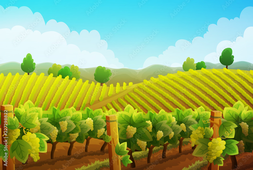 Vineyard Vector Free Download