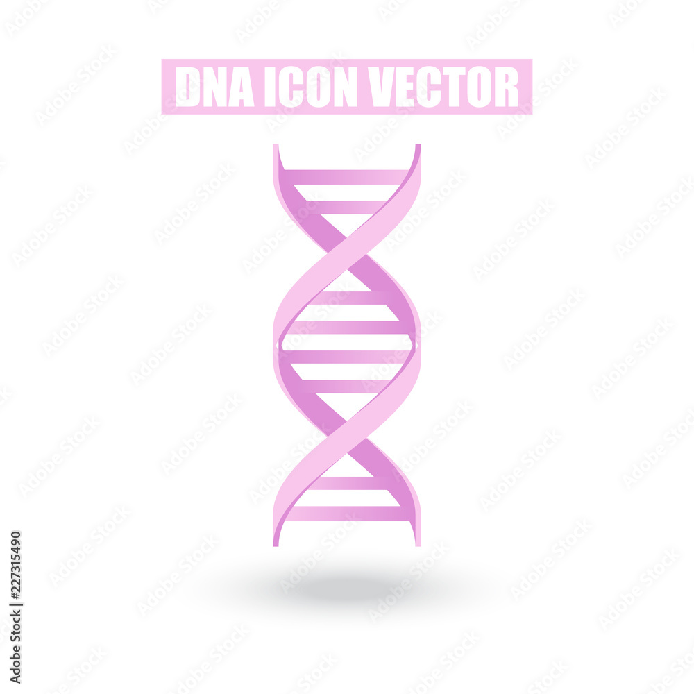 Pink DNA Icon Structure Molecular Science and Biology Concept on White ...