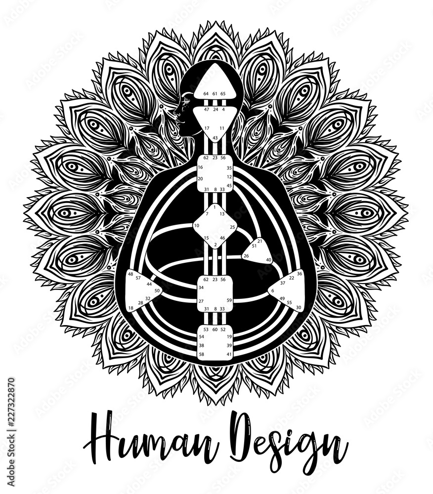 Human design bodygraph chart design. Vector isolated illustration ...