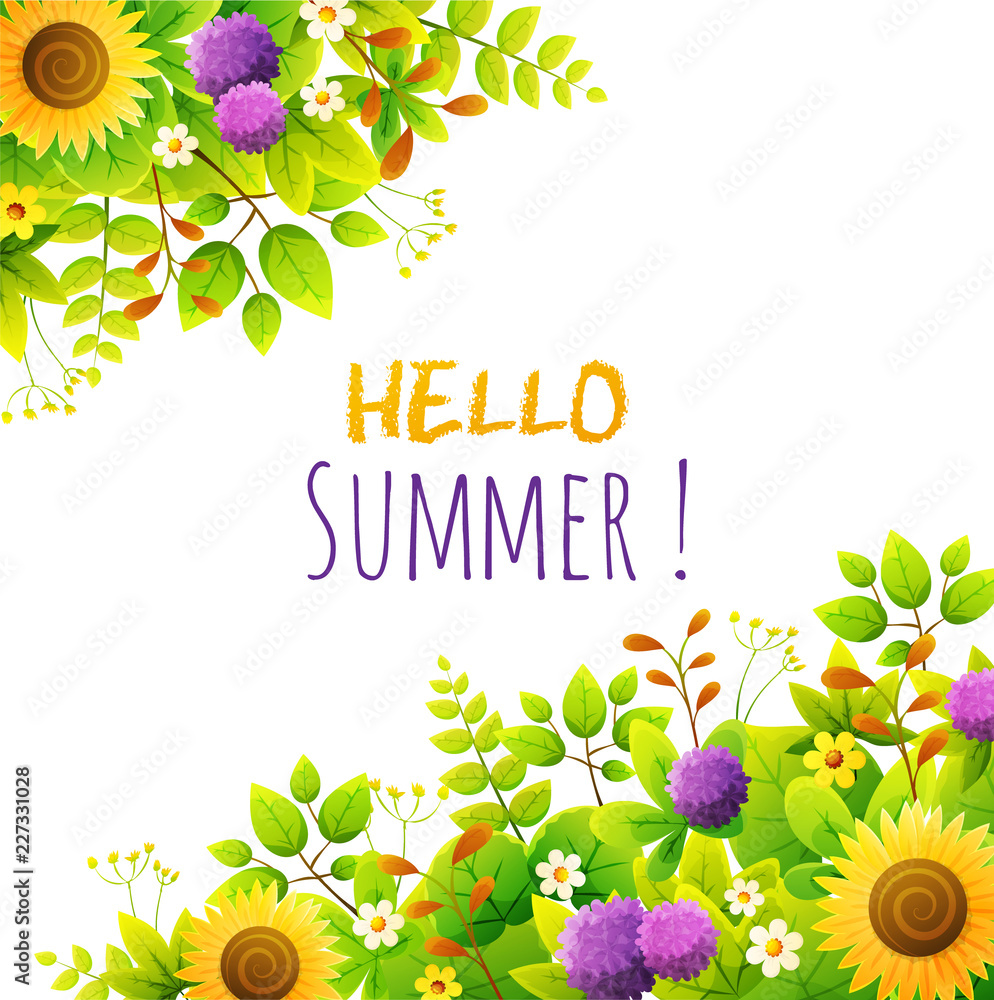 Summer Flower Border