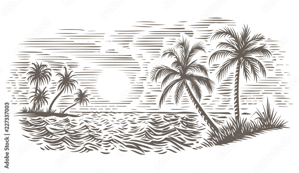 Palms and sea engraving style illustration. Tropical beach. Vector ...
