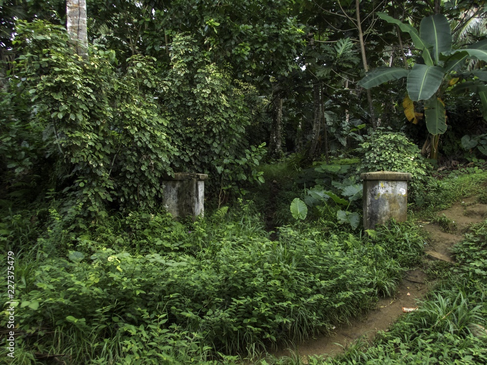 Ruins of the old civilian hospital built by the Japanese on Tonoas ...