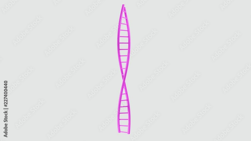 DNA Strand separation durring PCR cycle polymerase chain reaction real ...