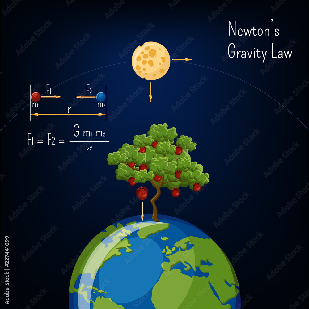 Newton's Gravity law infographic with Earth globe, moon, apple tree and ...