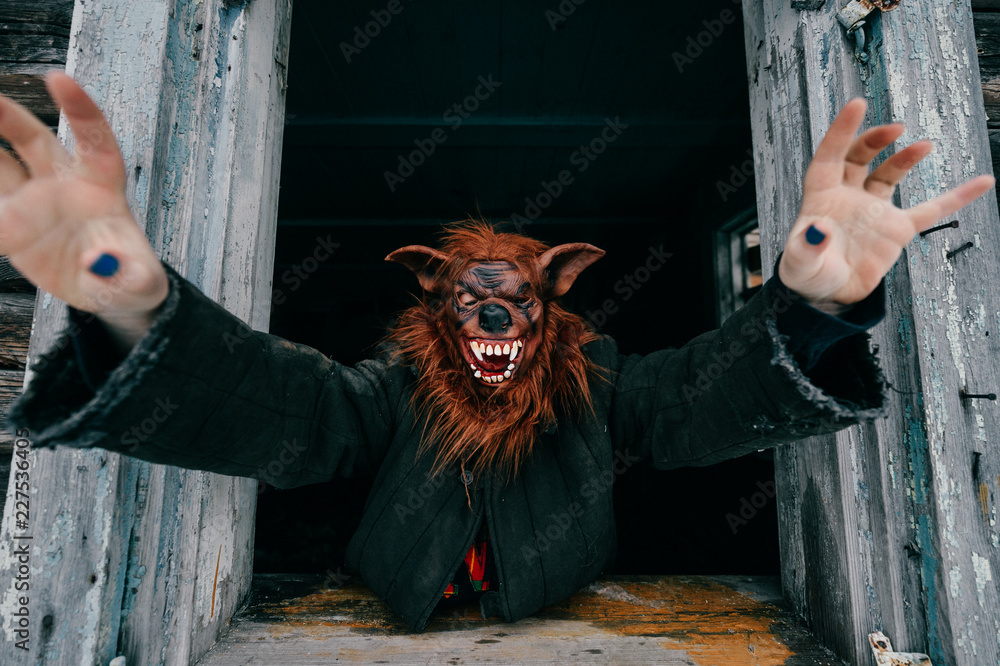 Unknown person with creepy horrible werewolf mask looking out from old ...