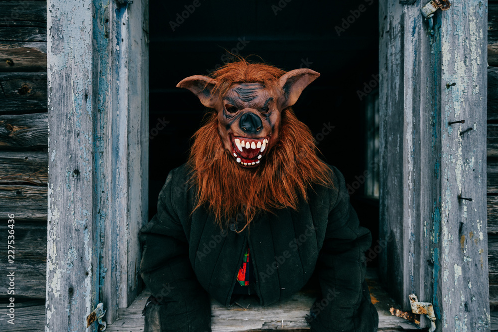 Unknown person with creepy horrible werewolf mask looking out from old ...