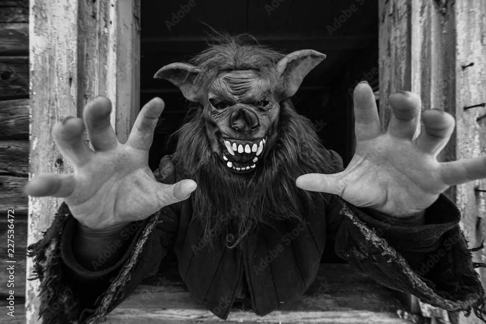 Unknown person with creepy horrible werewolf mask looking out from old ...