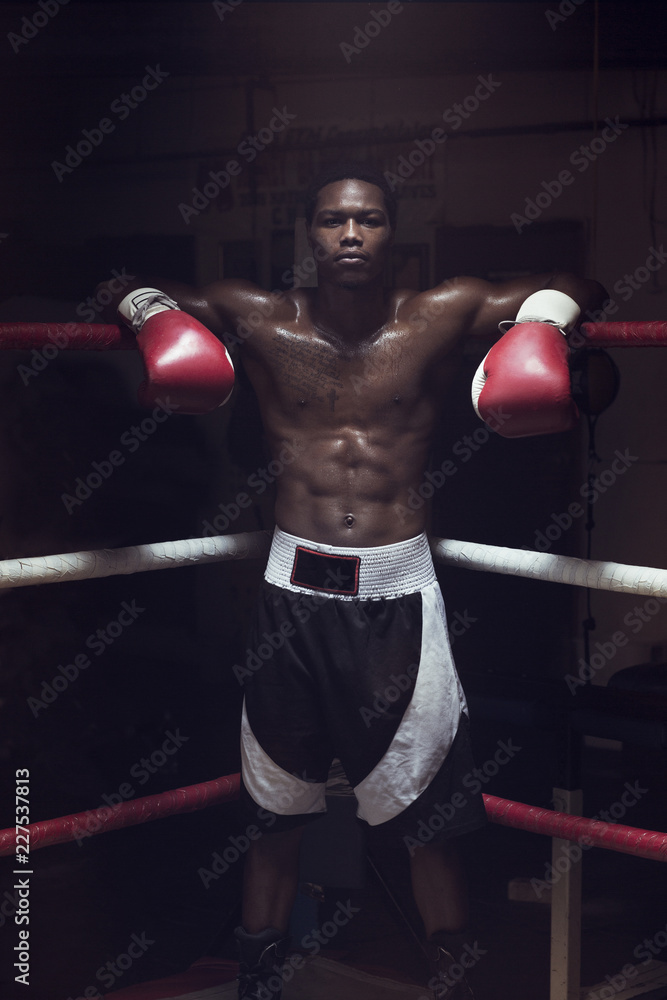 Man standing in boxing ring Stock Photo | Adobe Stock
