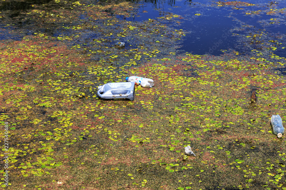 Small dying river was overgrown with marsh plants. Pollution of ...