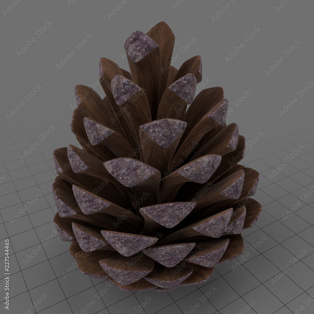 Pine cone Stock 3D asset | Adobe Stock