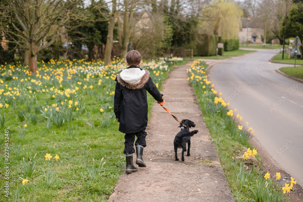 Taking the dog for a walk through an English village in Spring Stock ...
