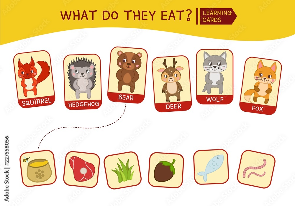 Vector set of cute cartoon animals. What do the animals eat ...