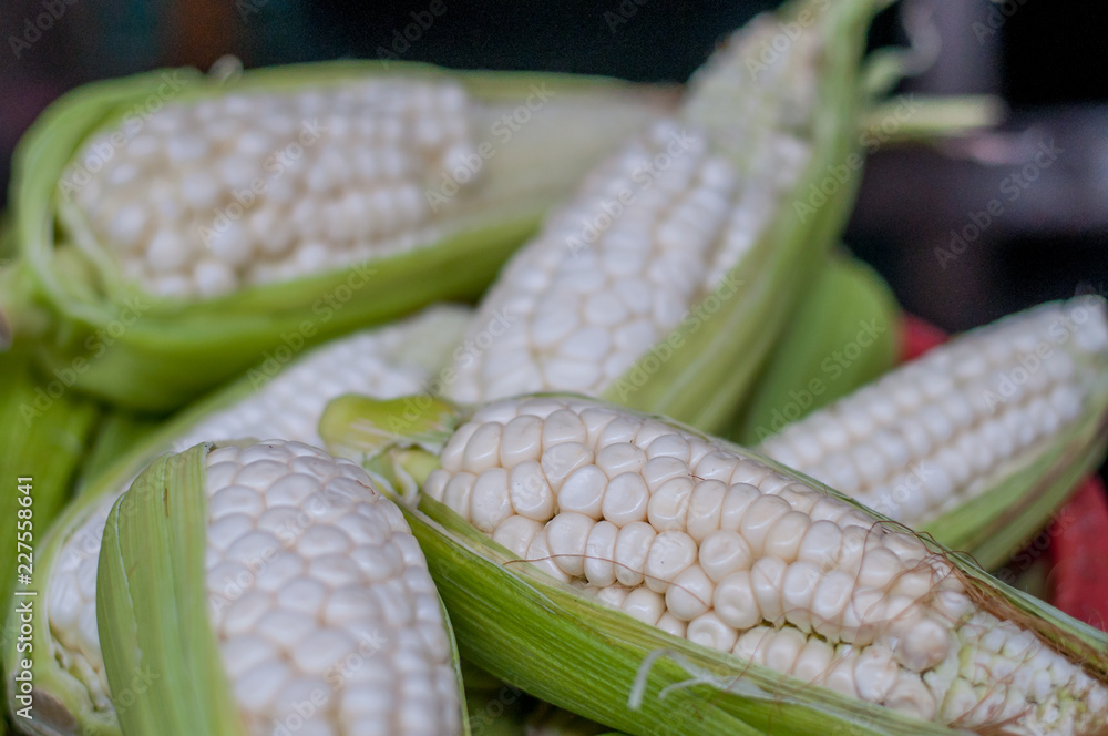 granos de elote maiz mazorca Stock Photo | Adobe Stock