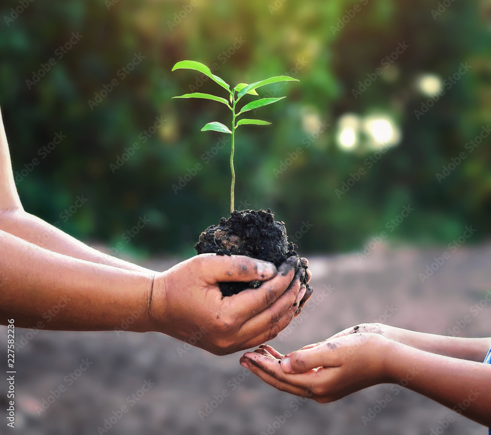 two hand holding small tree for planting. concept green world Stock ...