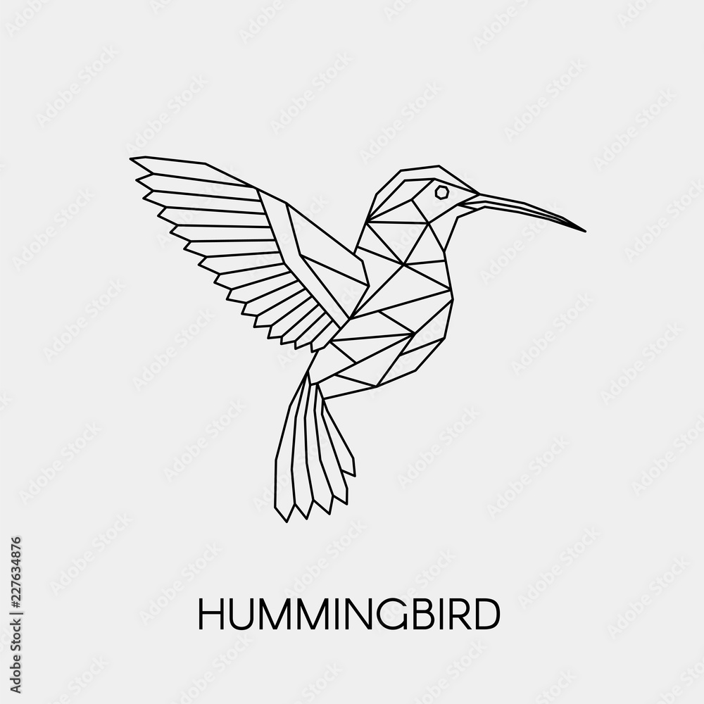 Geometric hummingbird. Polygonal linear abstract tropical bird. Vector ...
