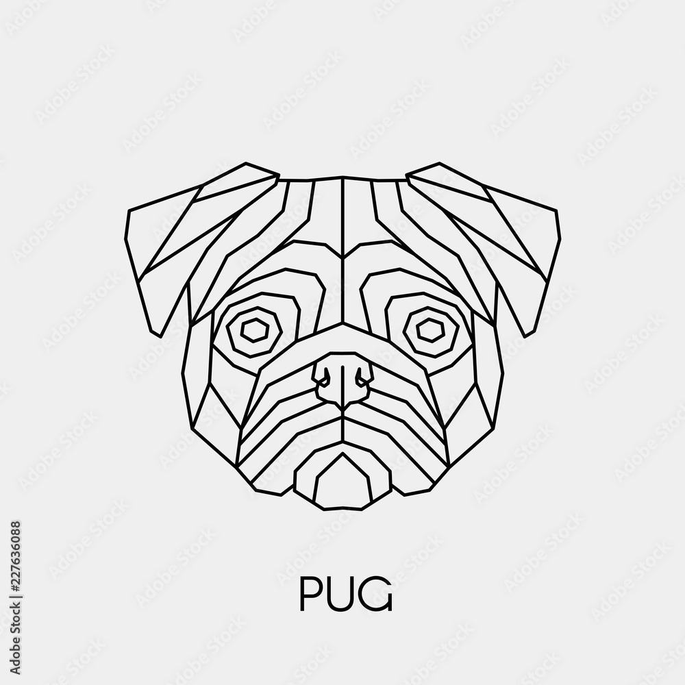 Geometric dog breed pug. Polygonal linear animal head. Vector ...