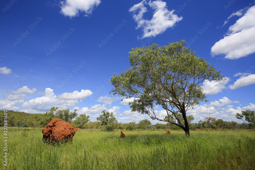 Beautiful Australian Scenery