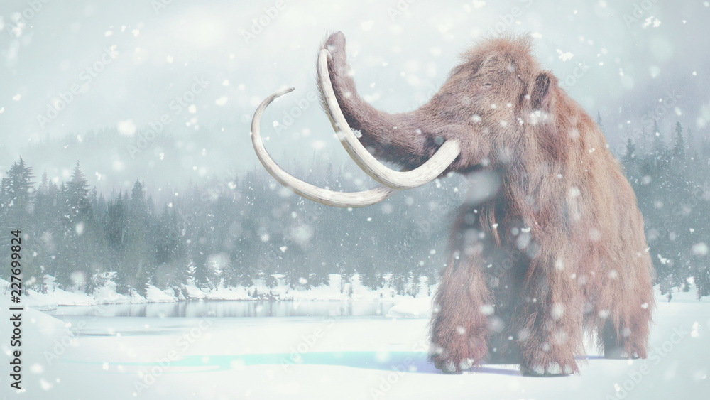 Real Ice Age