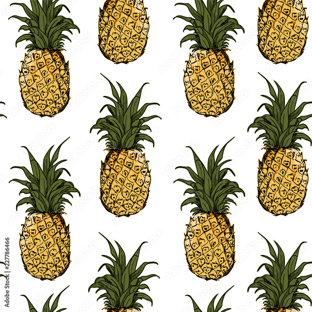 Seamless pattern with hand drawing of a pineapples. Vector illustration ...