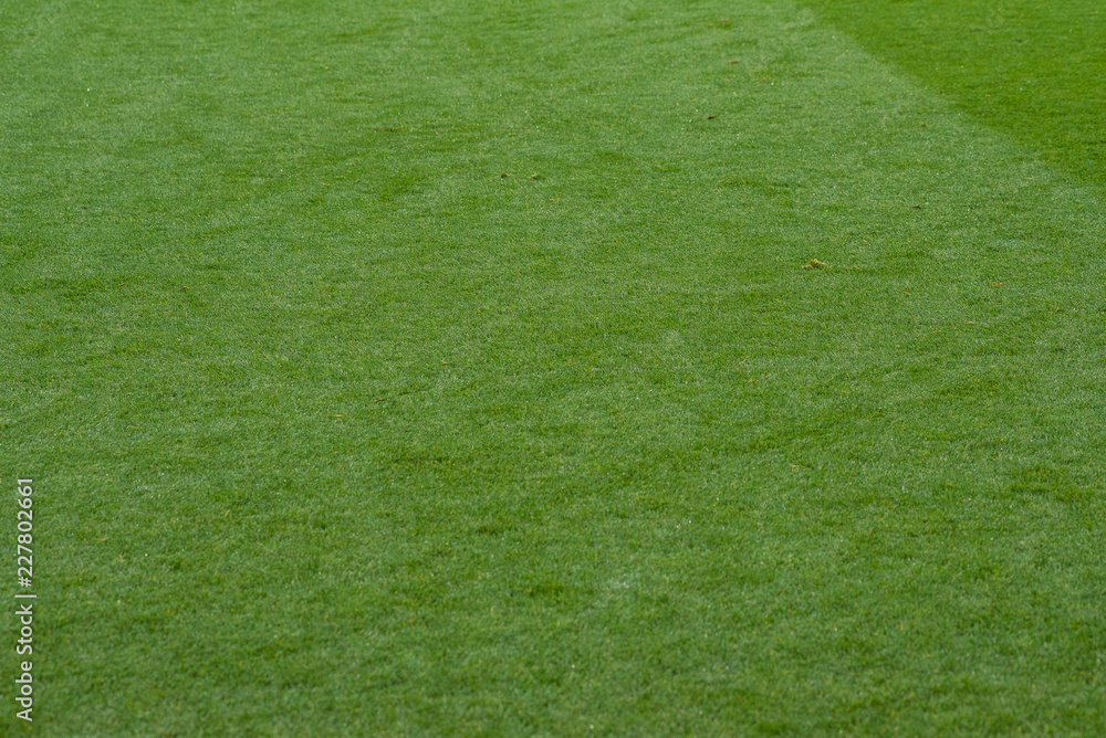 Green grass background, lawn pattern, textured background. low side ...