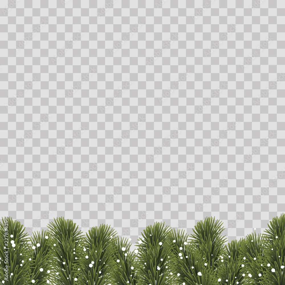 Christmas border with pine tree branches on transparent background ...