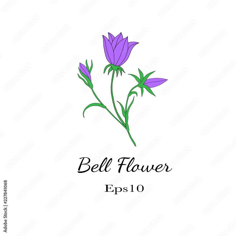 Cute Logo Design with Hand Drawn Bellflower Isolated on White ...