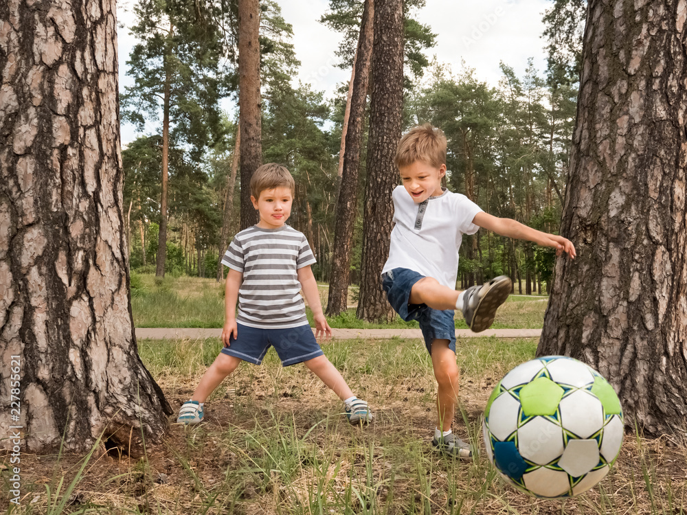 Children playing soccer outdoor. Leisure activities for children. Boys ...
